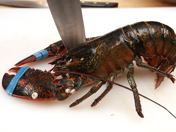 Is a dead lobster safe to eat?