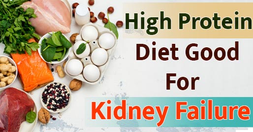 Is a high protein diet good for kidney disease?