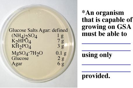 Is Agar complex or defined?