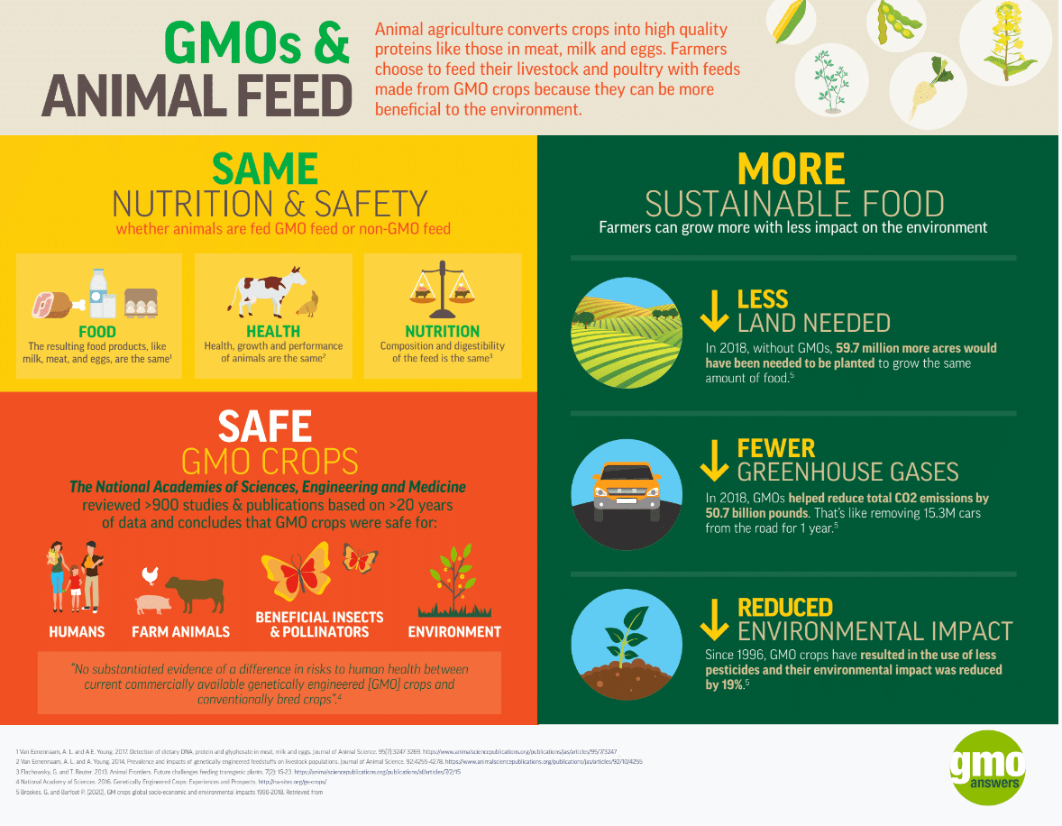 Is animal feed genetically modified?
