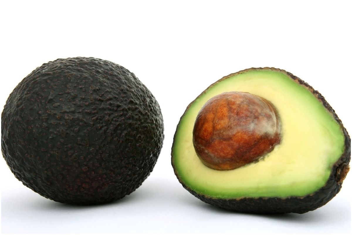 Is Avocado good for hypothyroidism?
