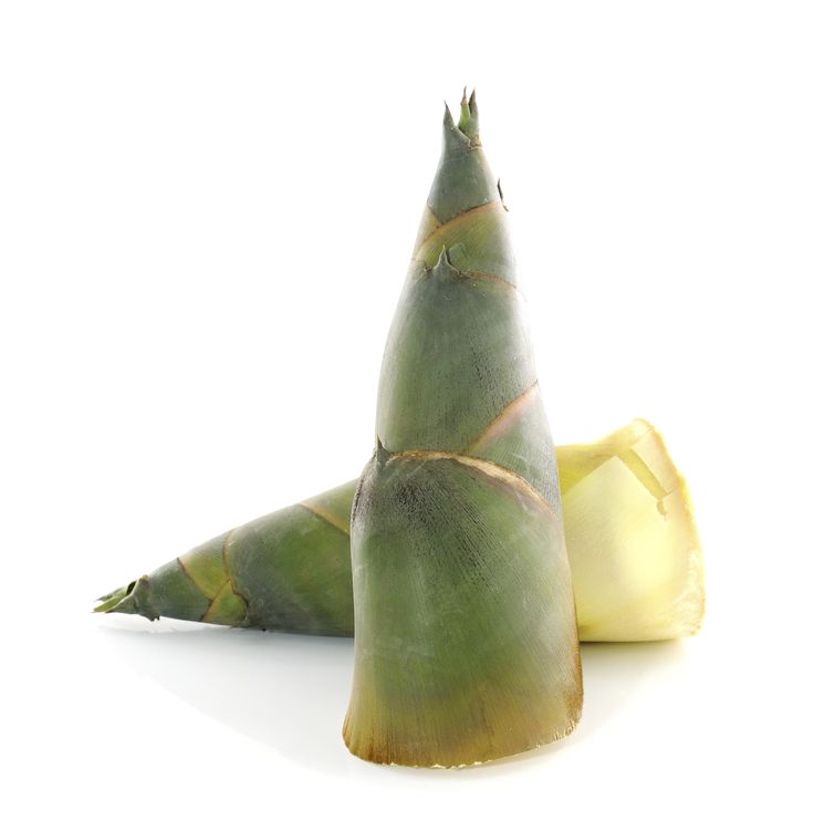 Is bamboo shoots from bamboo?