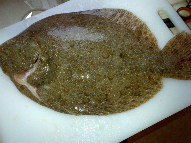 Is brill a nice fish to eat?