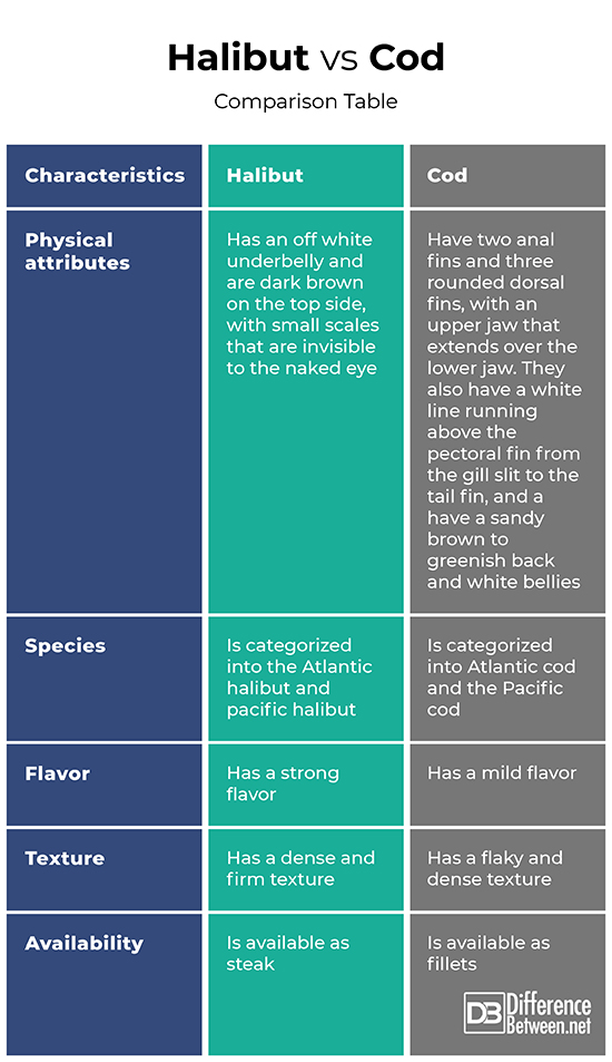 Is cod or halibut more firm?