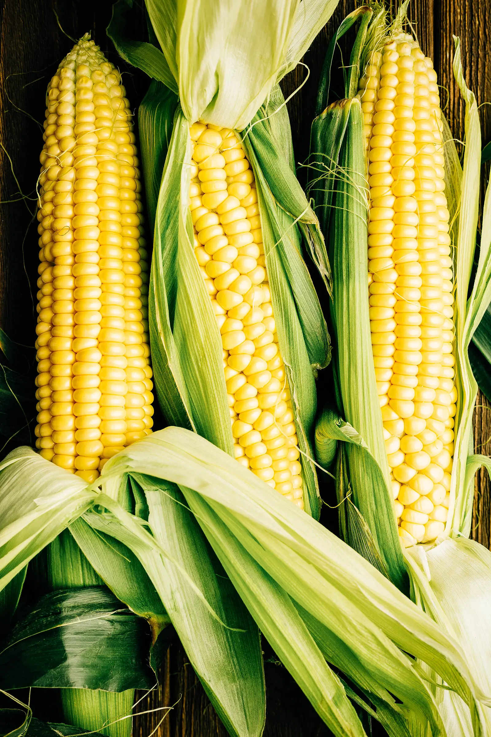 Is corn and maize the same?