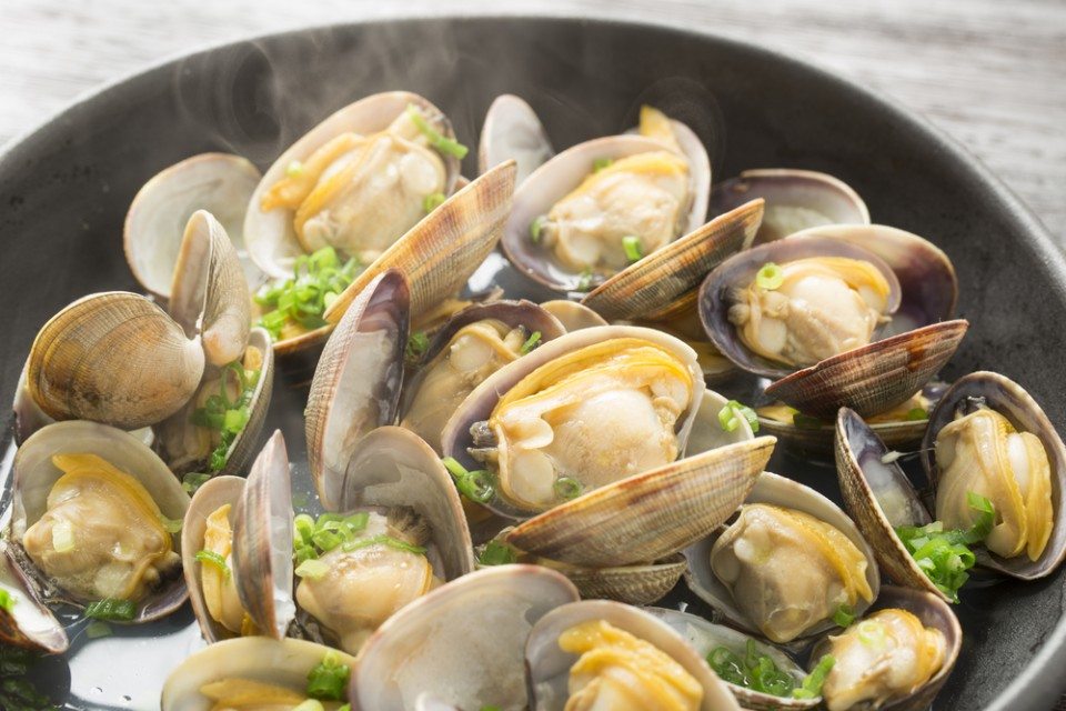 Is eating clam good for you?