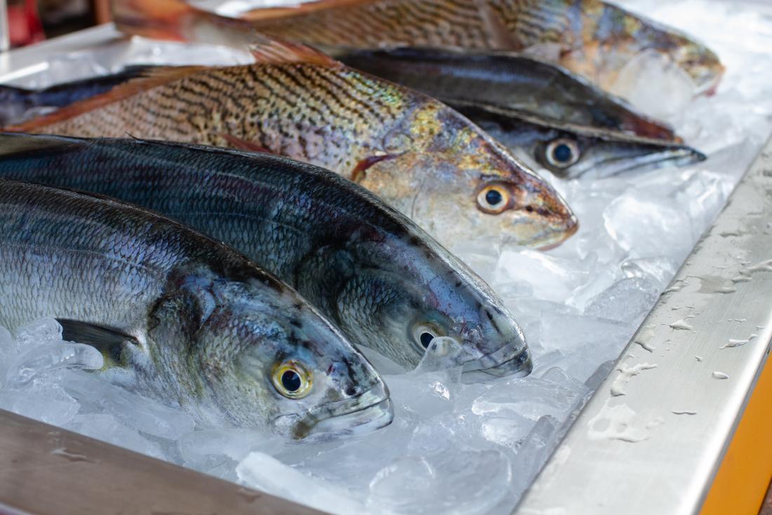 Is eating fish toxic?