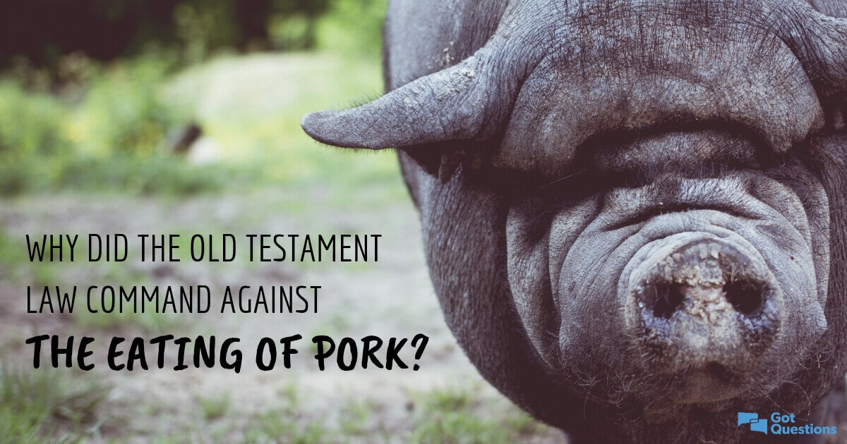 Is eating pork a sin in the New Testament?