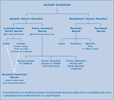 Is epilepsy caused by evil spirits?