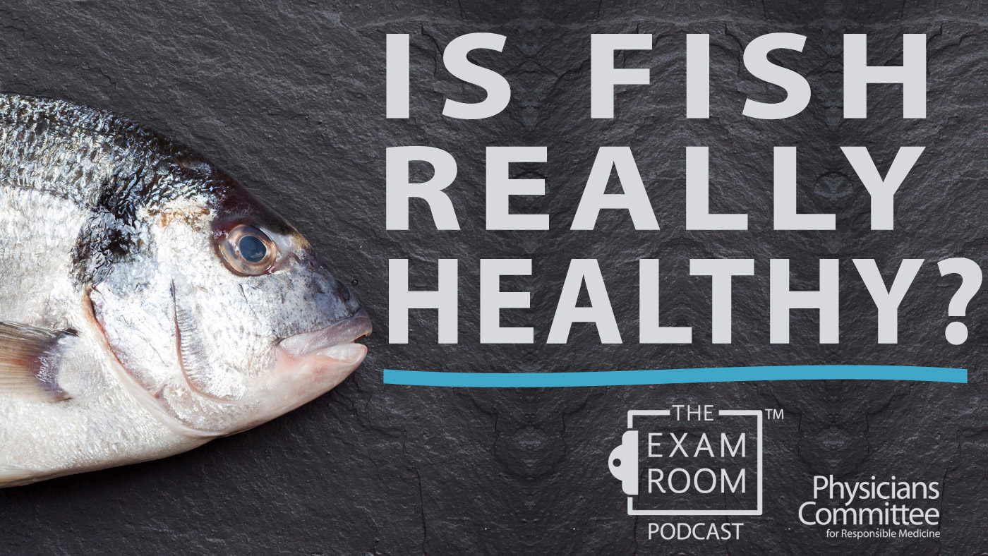 Is fish harmful for health?
