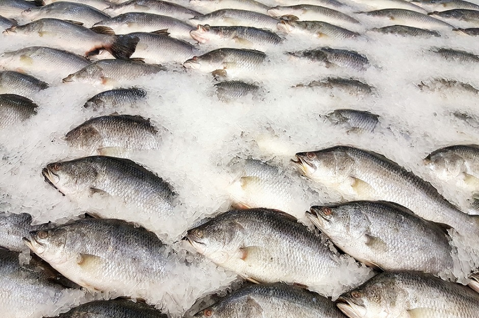 Is frozen fish as tasty as fresh?