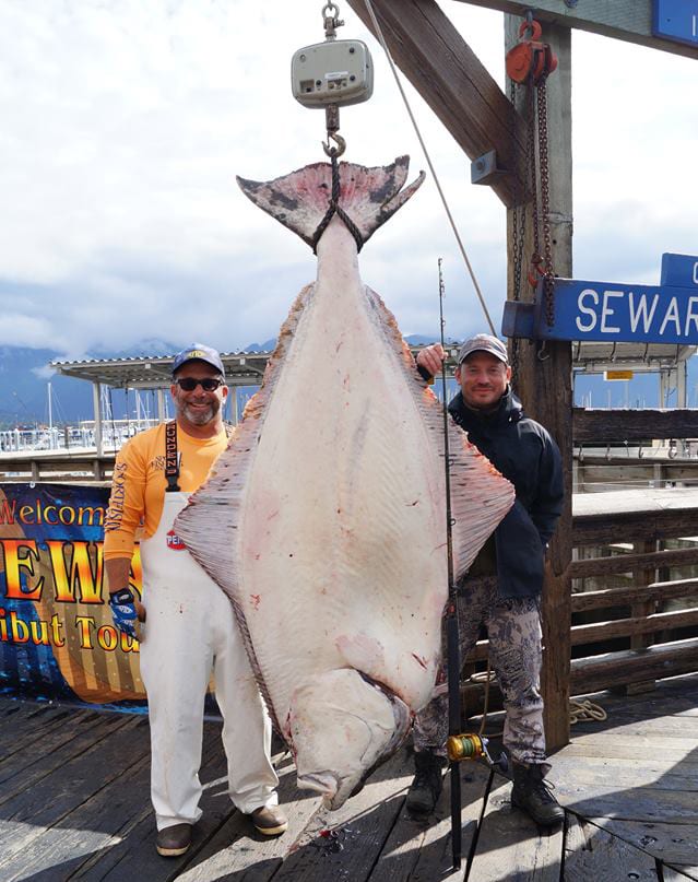 Is halibut fishing better in Seward or Homer?