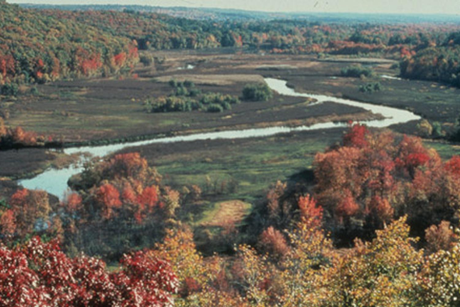 Is Halibut Point dog friendly?
