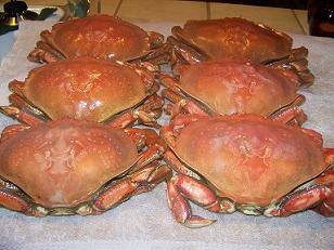 Is it best to freeze crabs raw or cooked?