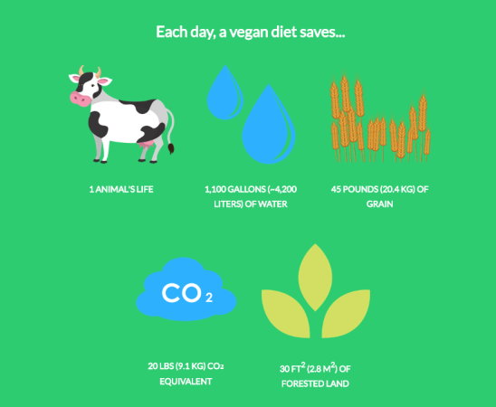 Is it better to be vegan for the environment?