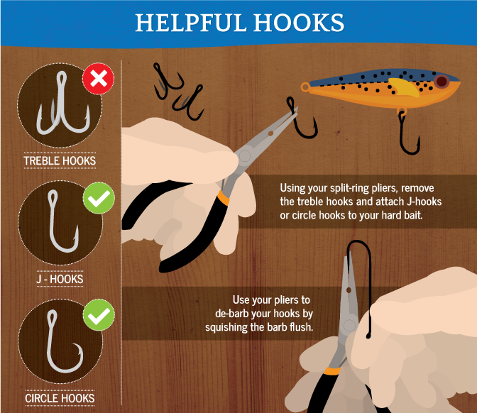 Is it better to remove hooks when fishing for fish?