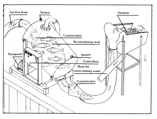 Is it important to understand the proper handling of fishery products?