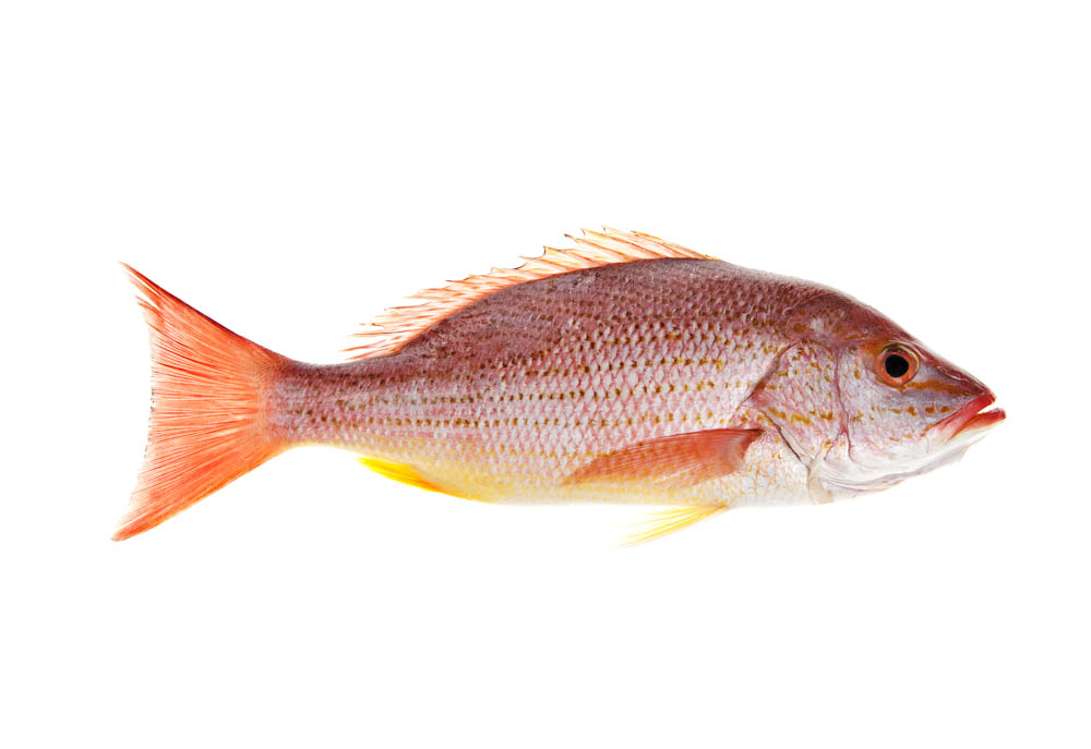 Is it necessary to brine fish?
