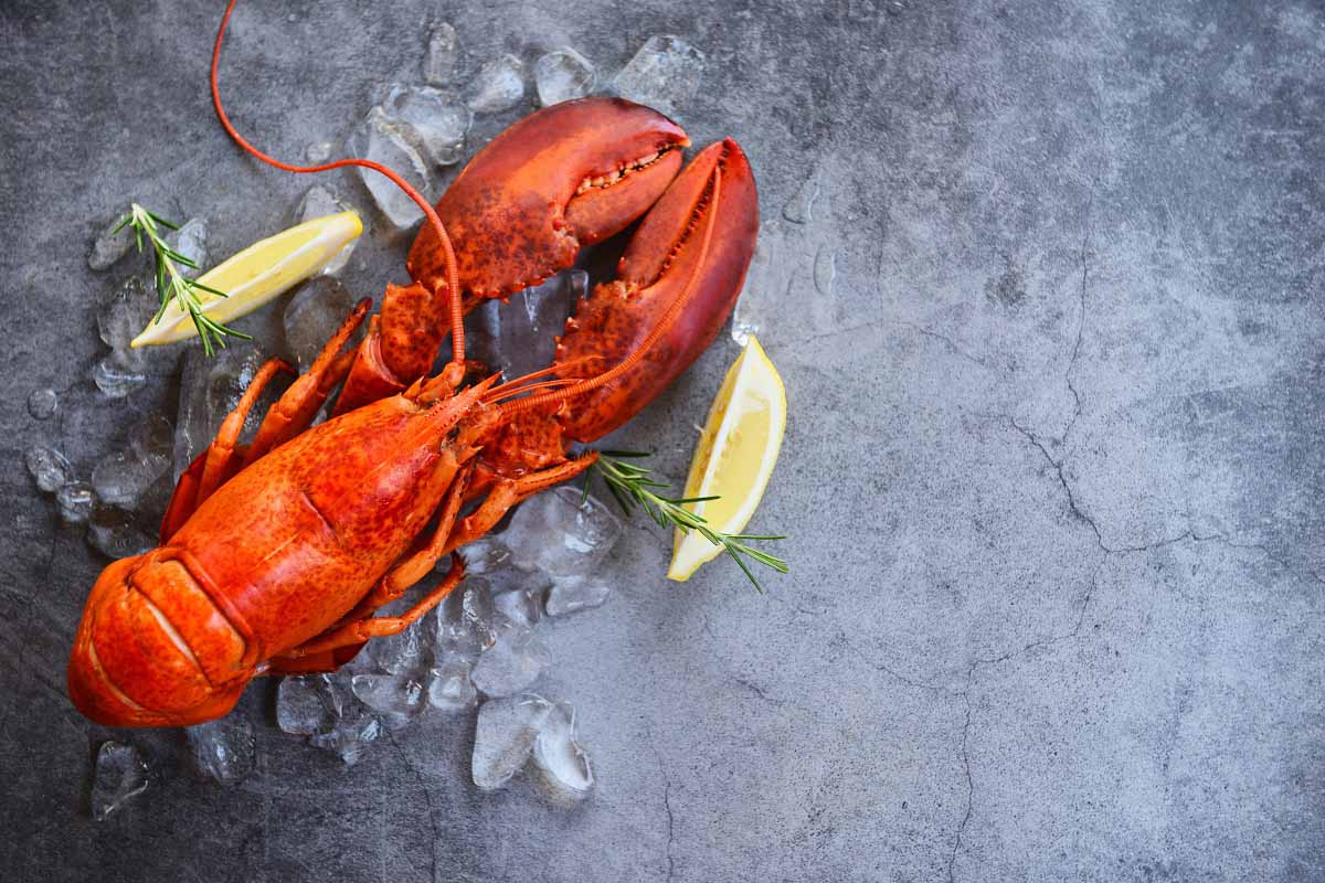 Is it OK if lobster smells fishy?