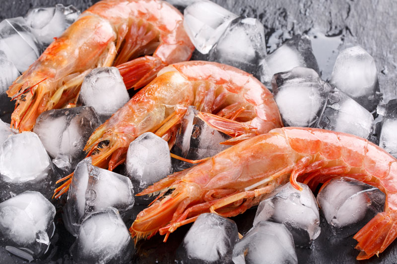 Is it OK to eat Argentine shrimp raw?