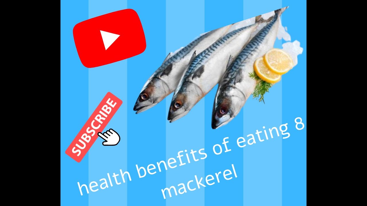 Is it OK to eat mackerel everyday?