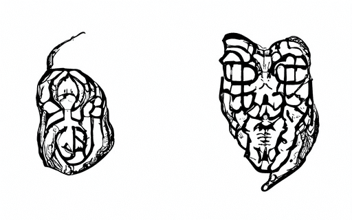 Is it safe to eat food imported from China?