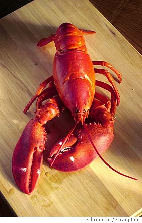 Is it safe to microwave lobster?
