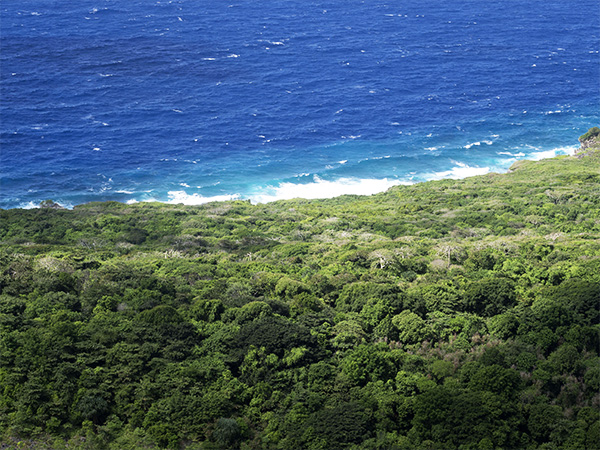 Is it safe to swim on Christmas Island?