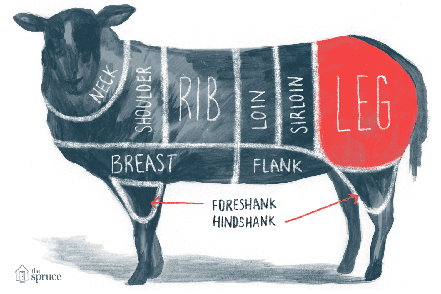 Is lamb shoulder tougher than leg?