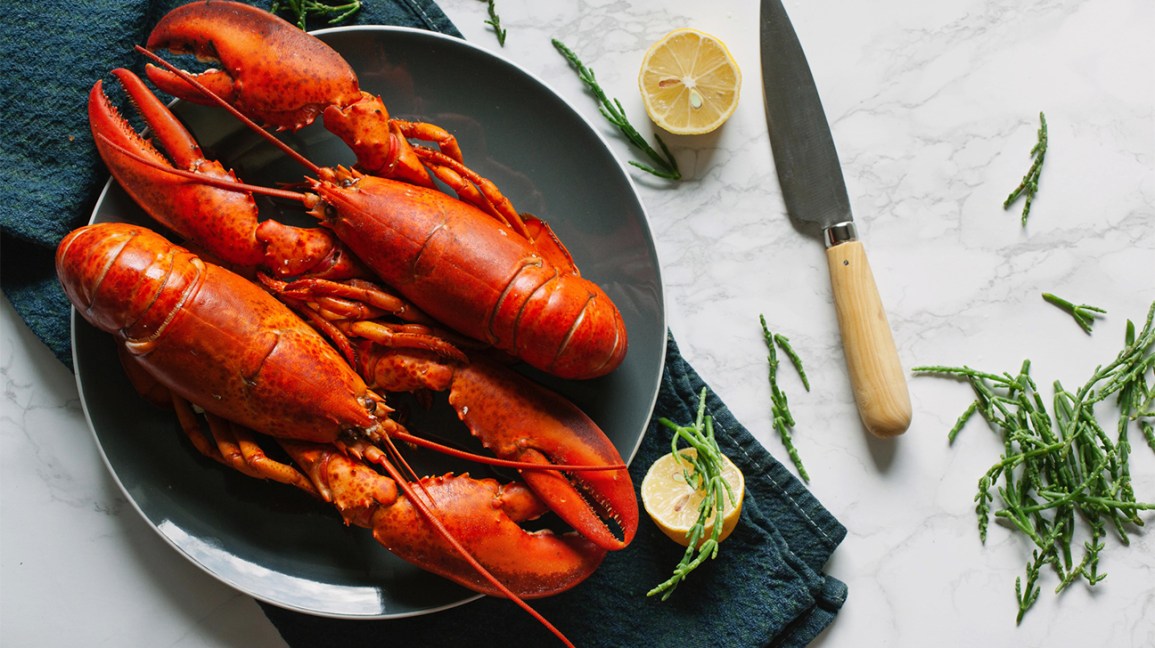 Is lobster anti inflammatory?