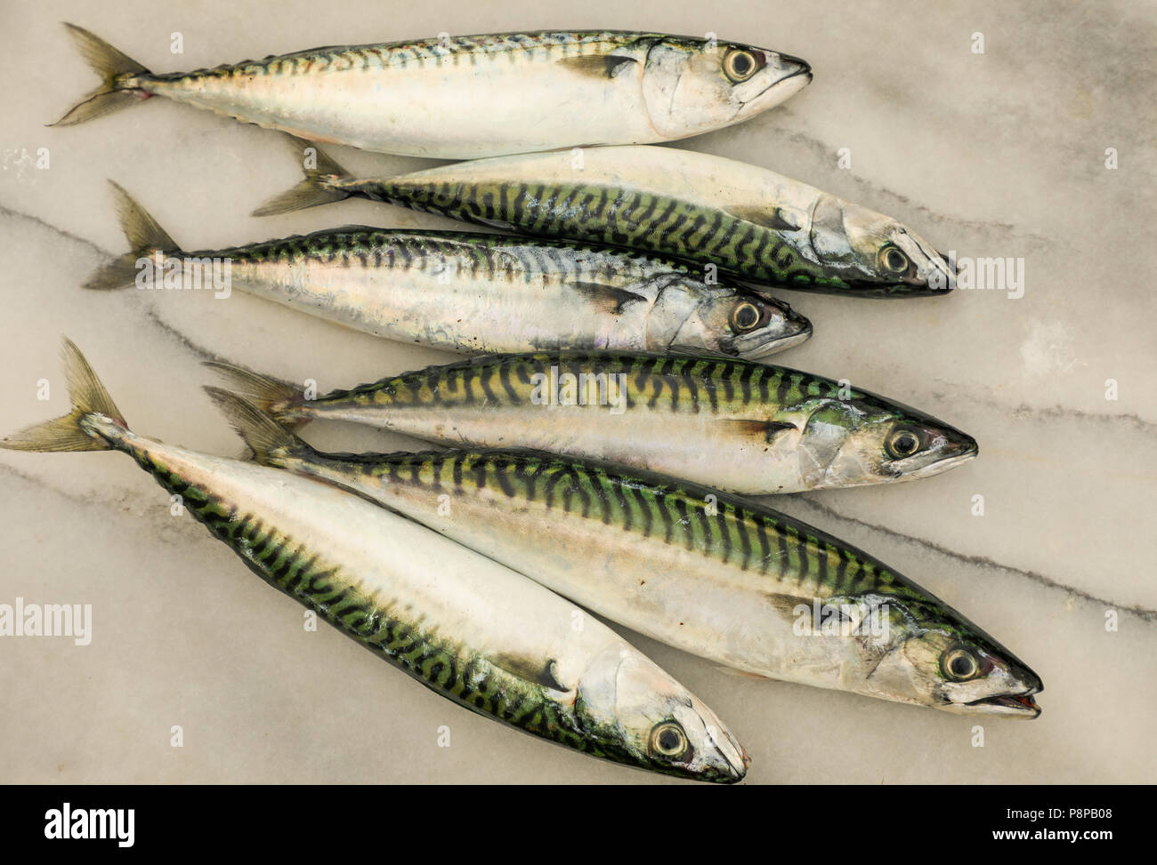 Is Mackerel good for fish stock?