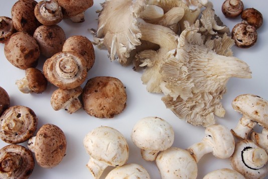 Is mushroom a good replacement for meat?