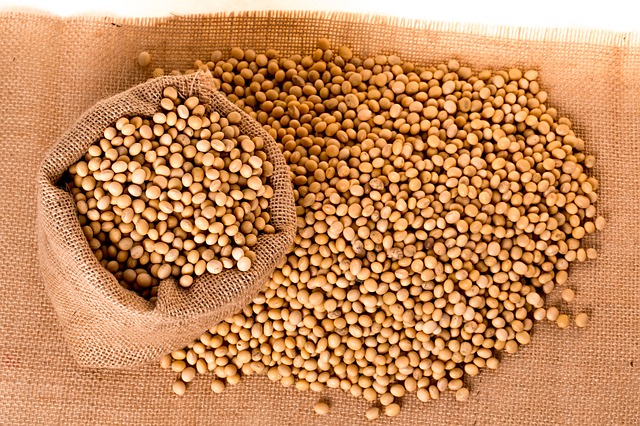 Is organic soy genetically modified?