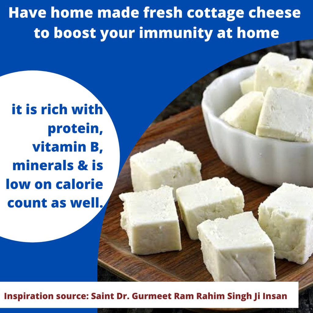 Is paneer a milk protein?