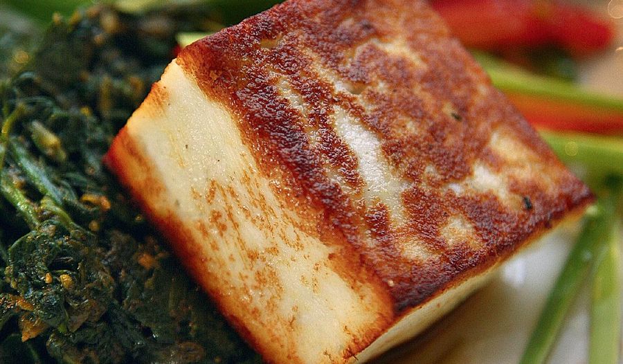 Is paneer made from buffalo milk?