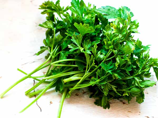 Is parsley hard on kidneys?