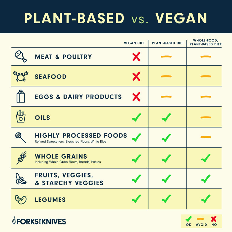 Is plant-based 100% vegan?
