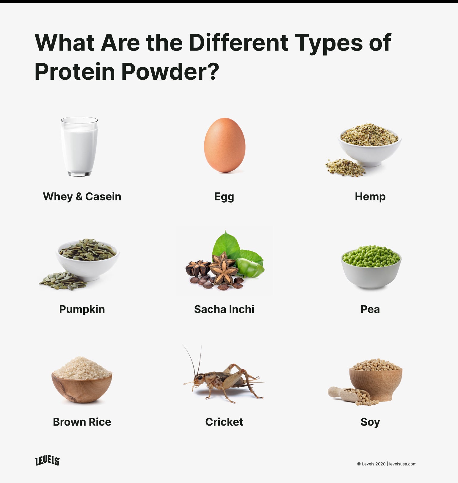 Is plant protein same as regular protein?