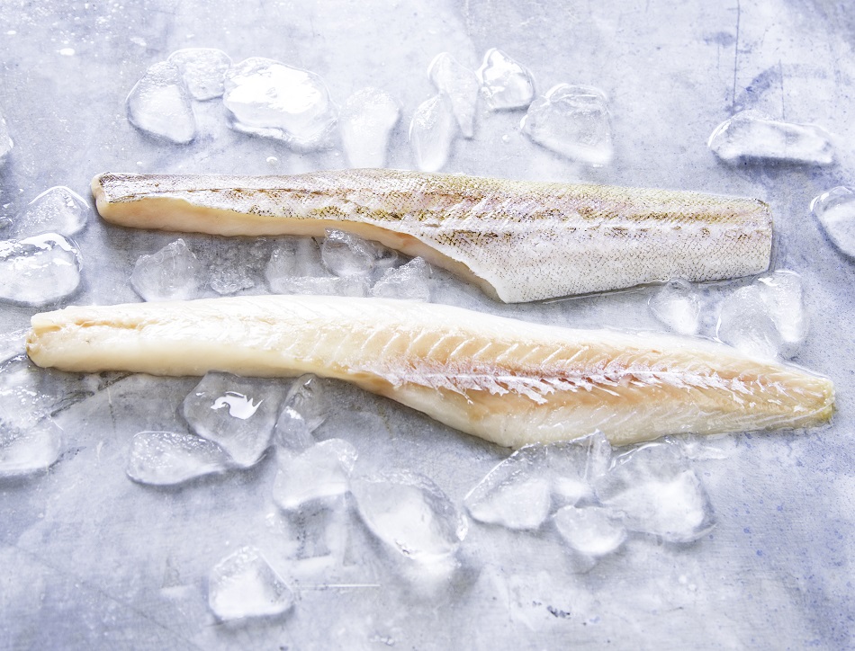 Is pollock fish sustainable?
