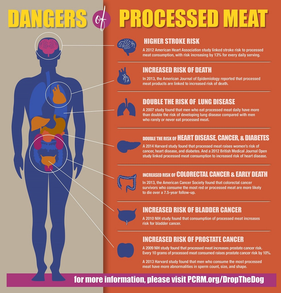 Is processed meat bad for your health?