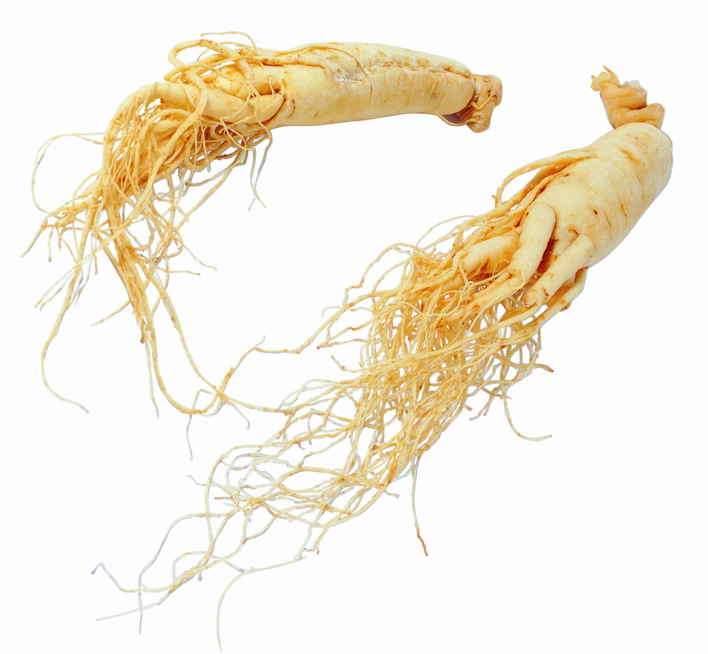 Is Ren Shen American ginseng?