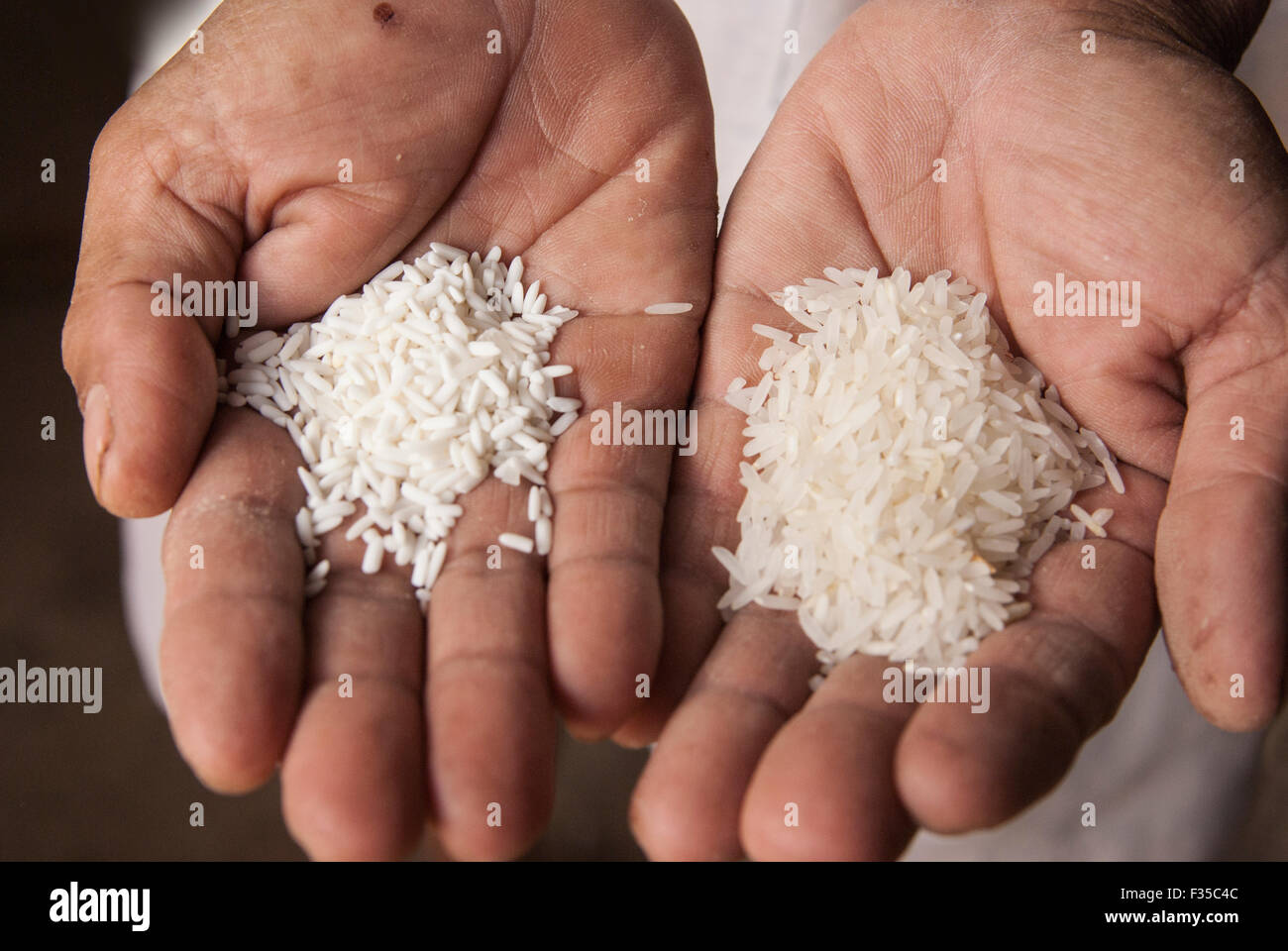 Is rice processed or unprocessed?