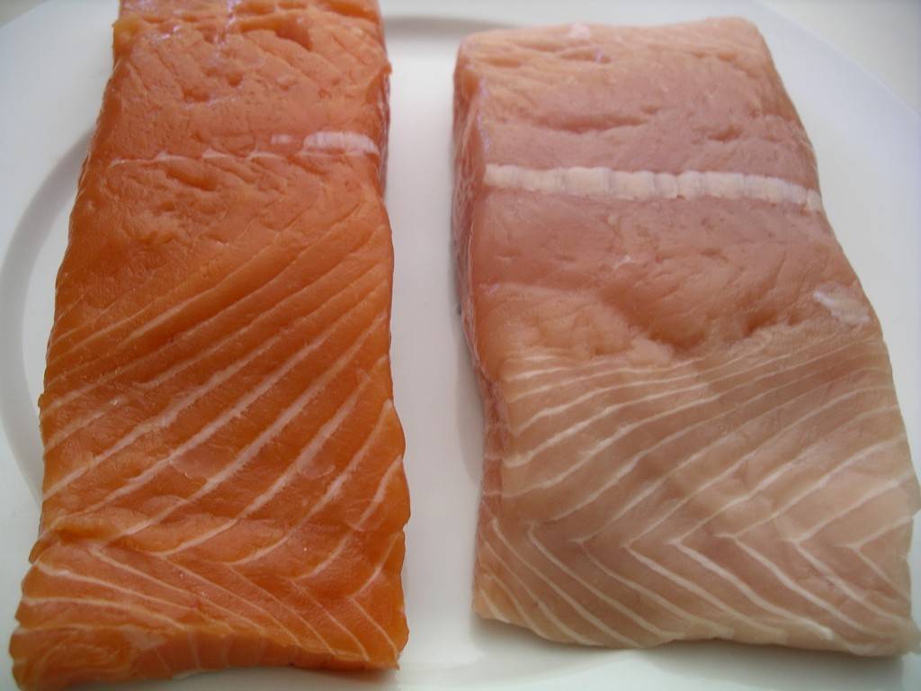 Is salmon considered a white meat?