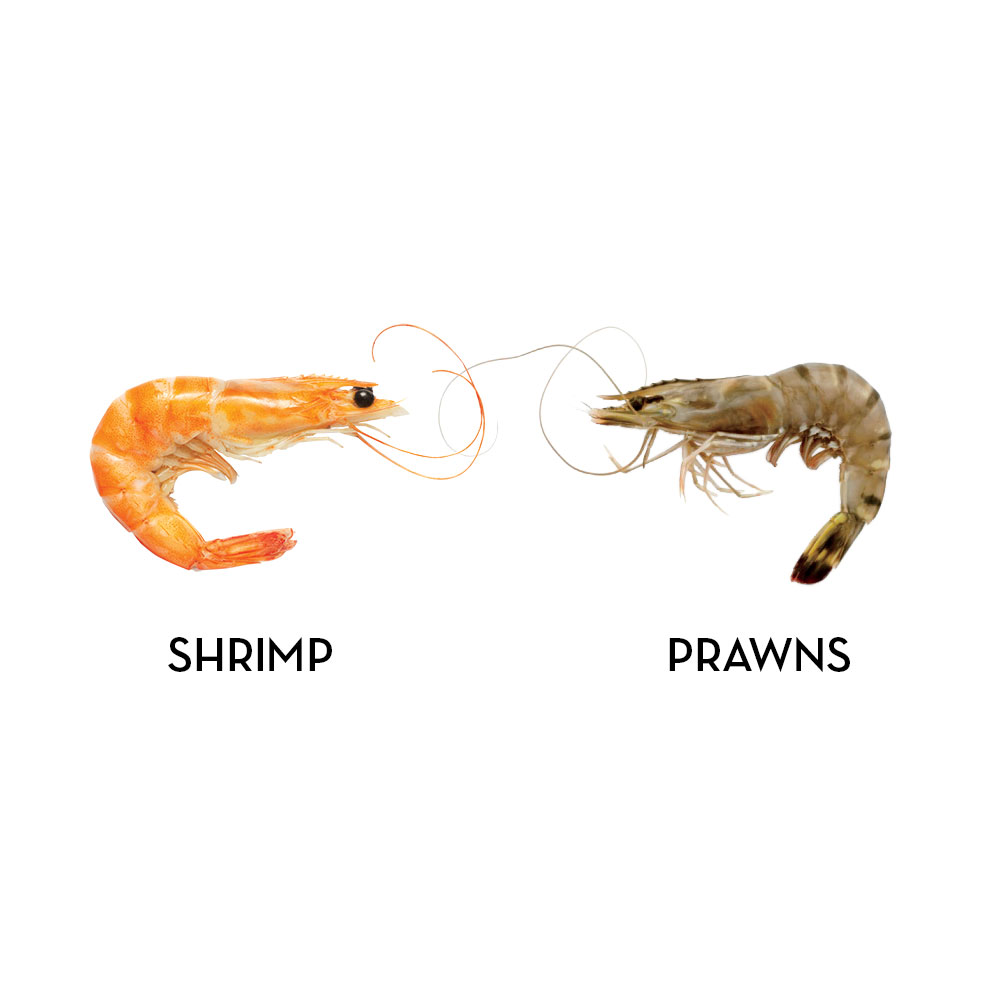 Is shrimp and prawn the same thing?