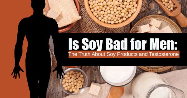 Is soy bad for testosterone?