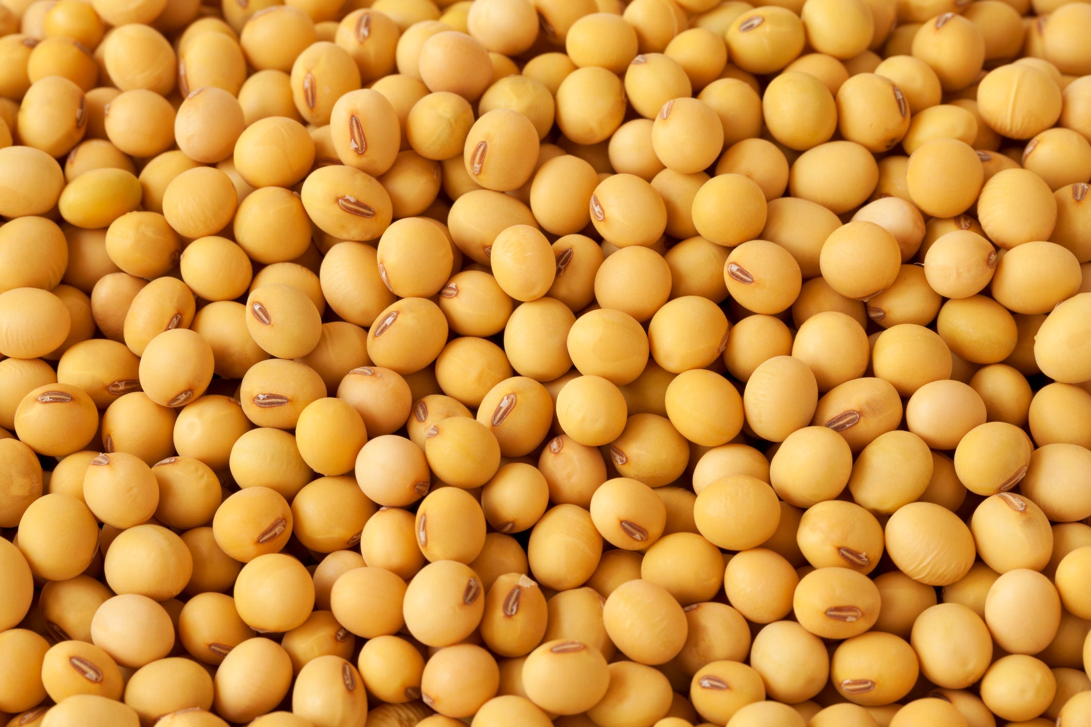 Is soy bad for your gut?