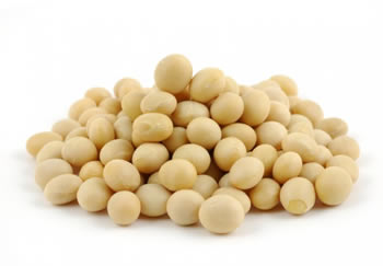 Is soy bean one or two words?