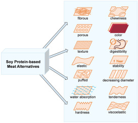 Is soy full of protein?