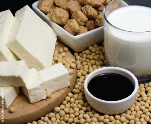 Is soy good for CKD patients?