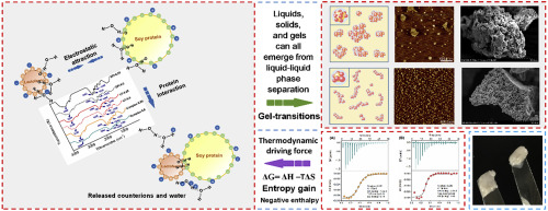 Is soy protein a complex protein?